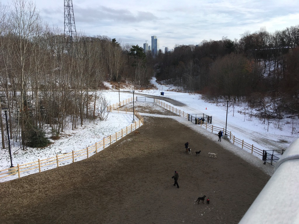 Favourite Toronto Walks – Cedarvale-Nordheimer Ravines | Walkablog